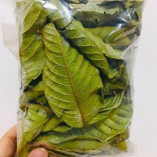 Organic Homemade Guava Leaf Dried Hojas de Guayaba Guayabo Psidium ...