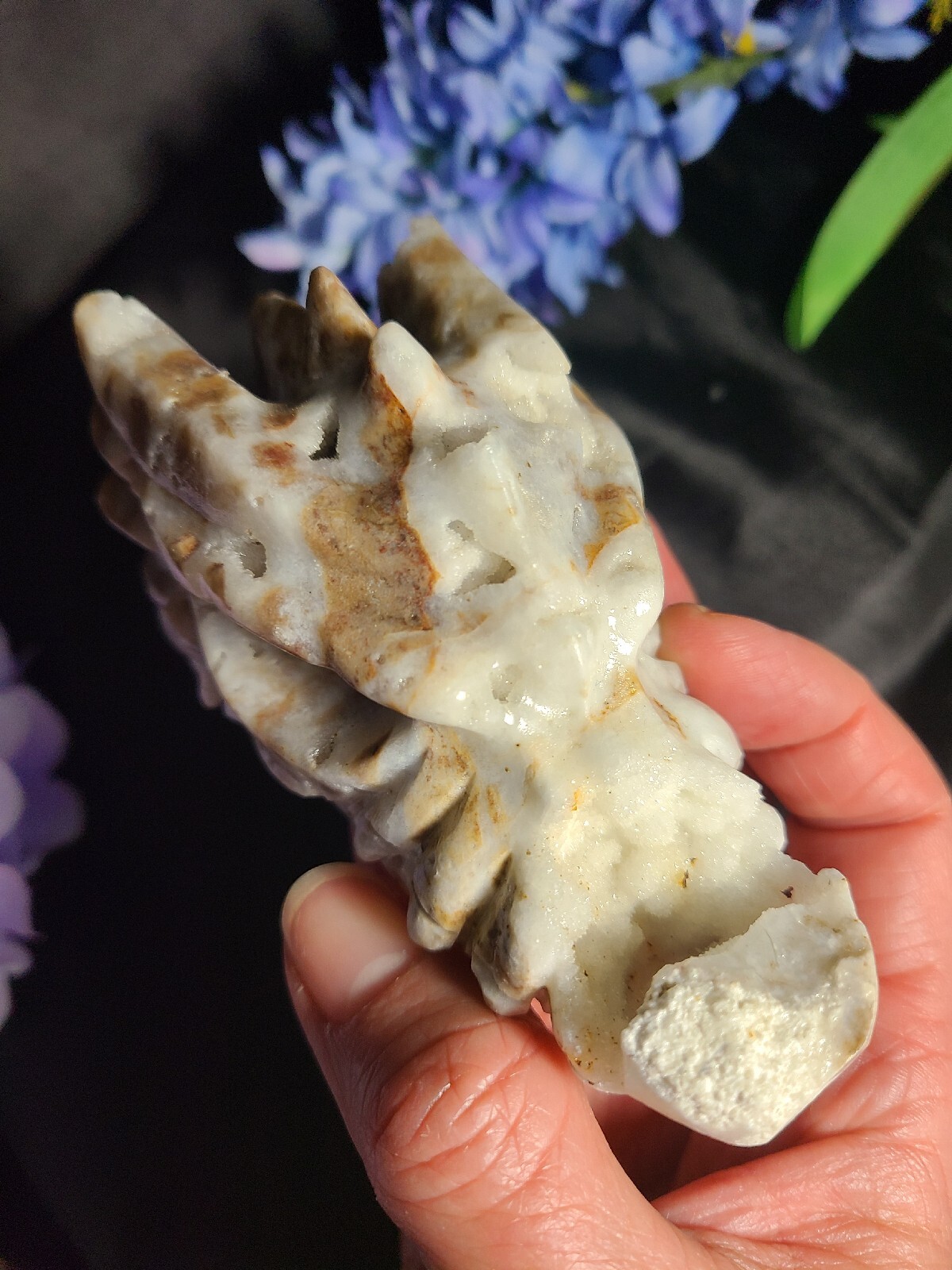RARE! 4.5" 289g Druzy Geode Amber Agate Dragon Head GOT Skull Crystal ...