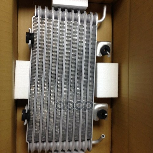 21606-JD31A Nissan Oil cooler assy 21606JD31A, New Genuine OEM Part | eBay