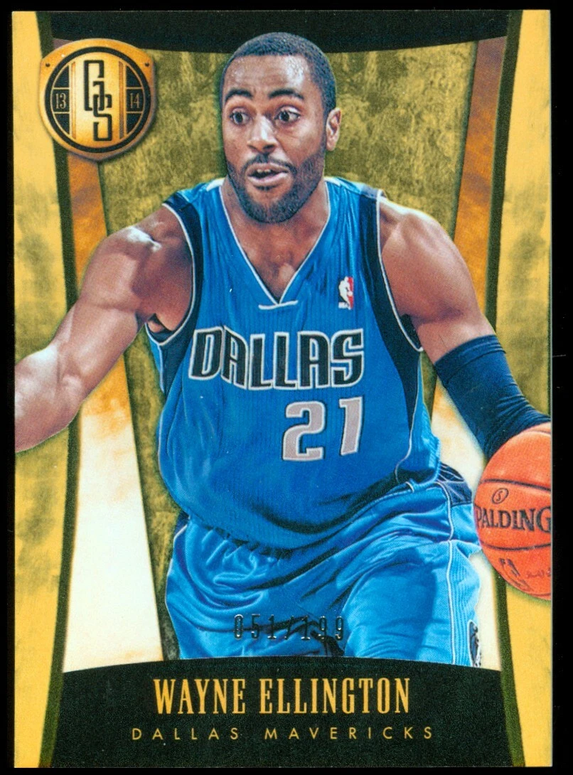 Wayne Ellington Mavericks