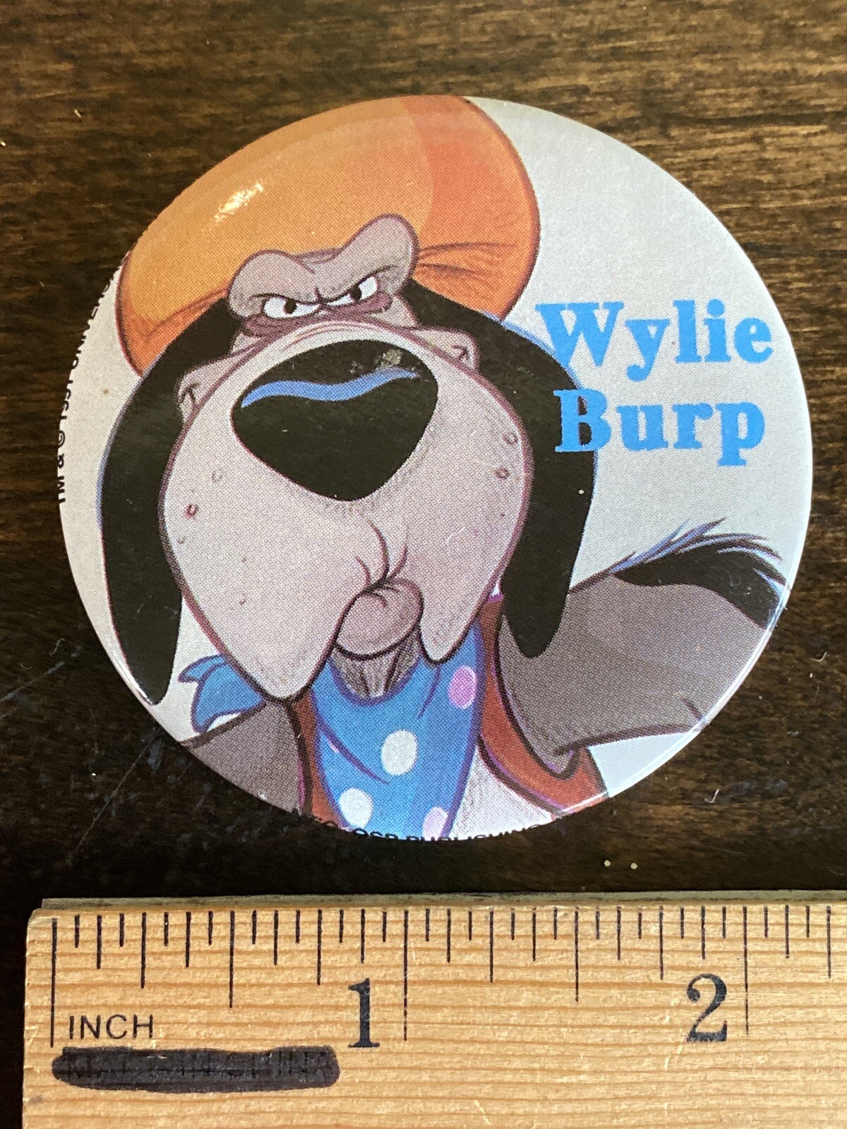 Vintage 1991 Wylie Burp An American Tail Fievel Goes West Pinback ...