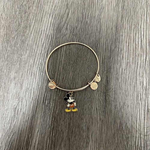 Disney Parks Mickey Mouse Alex and Ani Bracelet Classic Standing Pose ...