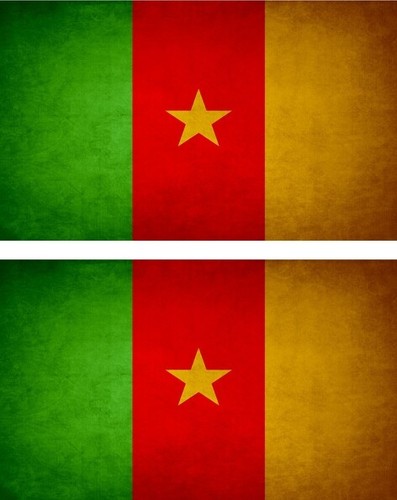 2x Sticker Flag Vintage Distressed Cmr Cameroon Cameroune | eBay