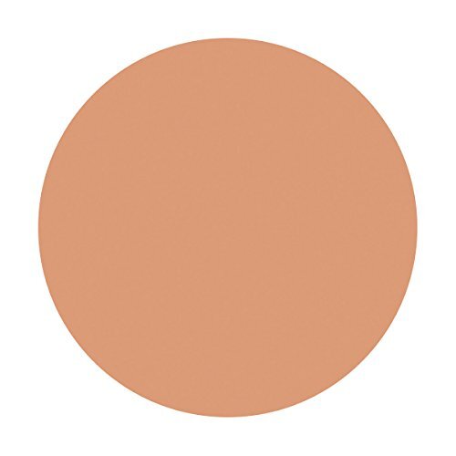 Shiseido Spots Cover Foundation (Base Color) S101 20g | eBay