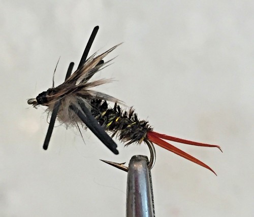 20 INCHER STONEFLY NYMPH - TROUT FLY FISHING NYMPH FLIES - 12 FLIES X ...