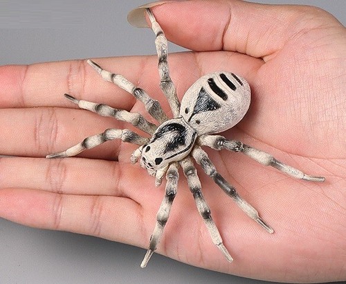Spider Insect Animal Toy PVC Action Figure Doll Kids Toys Party Gifts ...