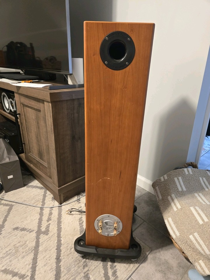 Monitor Audio Gs20 Floorstanding Speakers | eBay