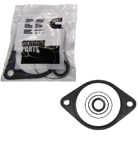 Cummins Vacuum Pump/Power Steering Seal Kit 5.9L B Series 4089742 | eBay