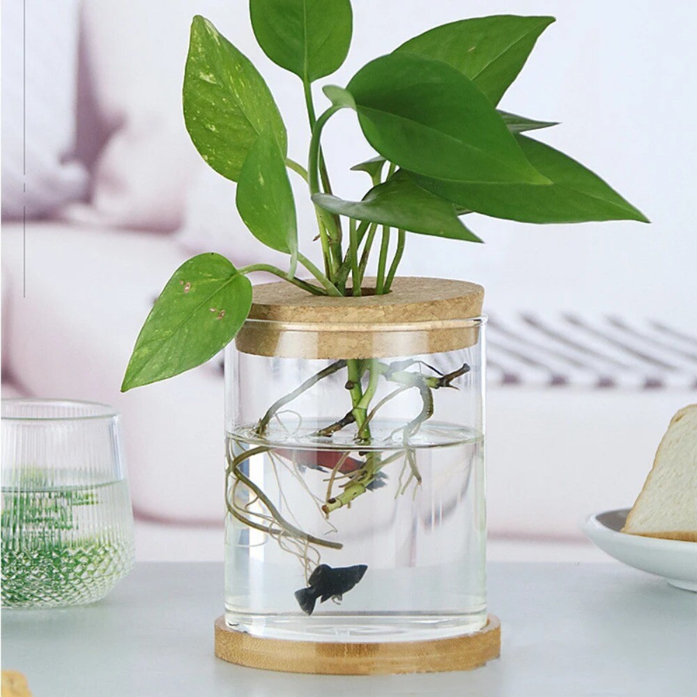 Transparent Hydroponic Vase Soilless Culture Plants Pot Office Desktop ...