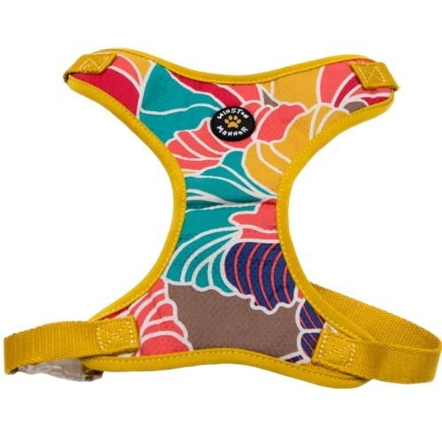 Winston Manner Designer Dog Harness in Go Troppo | eBay