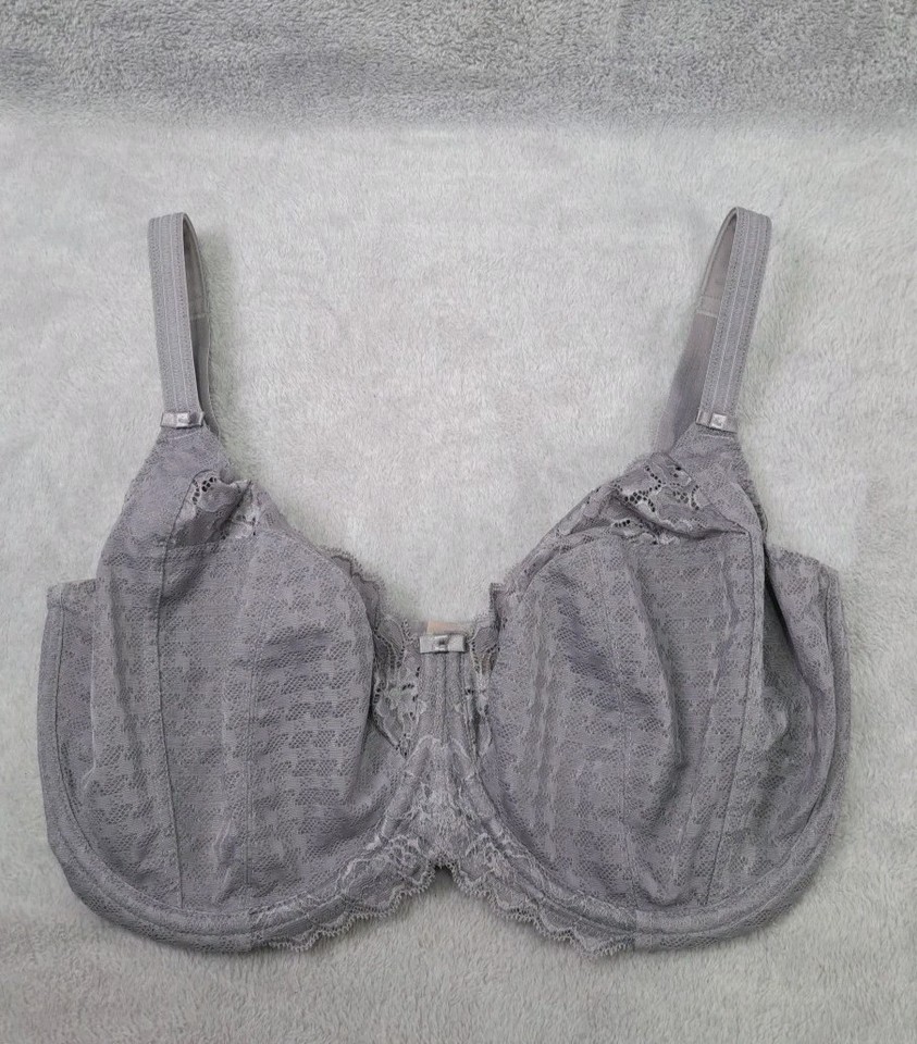 Panache Bra Envy 7285 34H Full Cup Underwire Lace Gray / Lilac ...