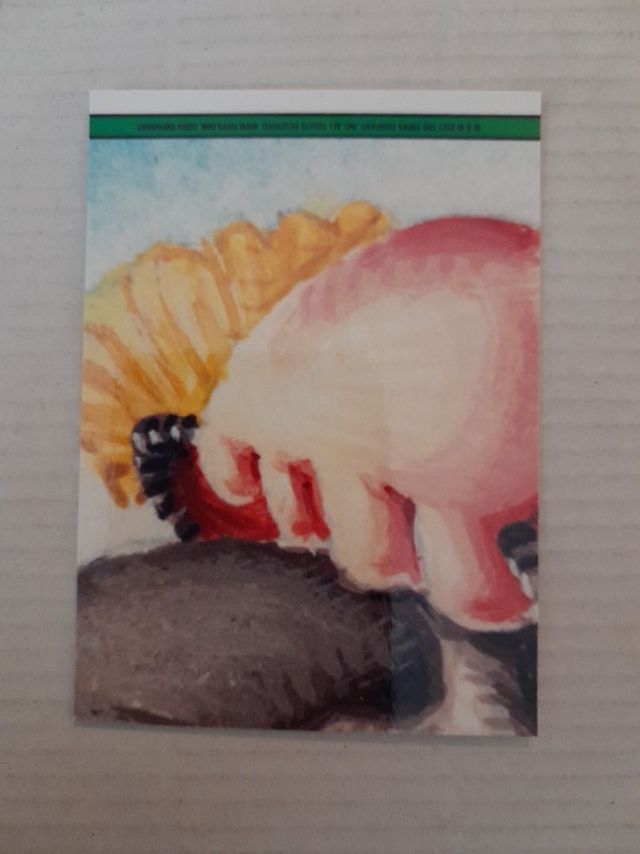 Garbage Pail Kids Chrome Series 4 Bread Bernie 148c C Variation Short ...