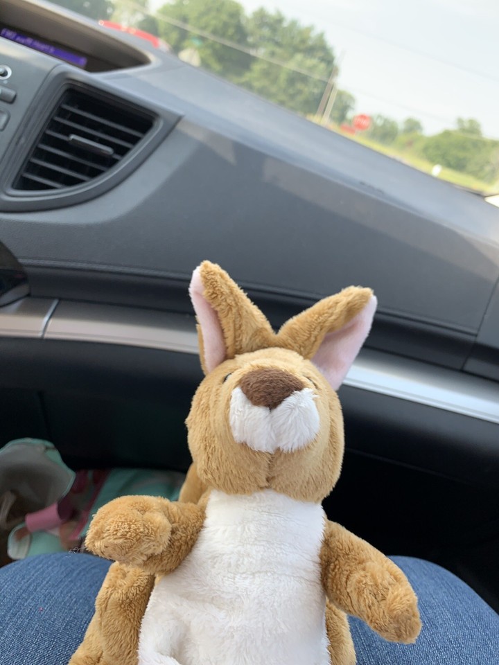 Ganz Webkinz Kangaroo Plush Toy Stuffed Animal No Code HM180 | eBay