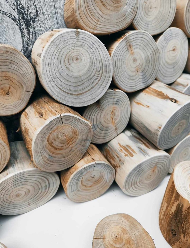Decorative fireplace display logs Wood Slices Rustic Wall decorative ...