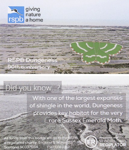 RSPB Pin Badge Special GNaH Dungeness 90th Sussex Emerald Moth (2022 ...