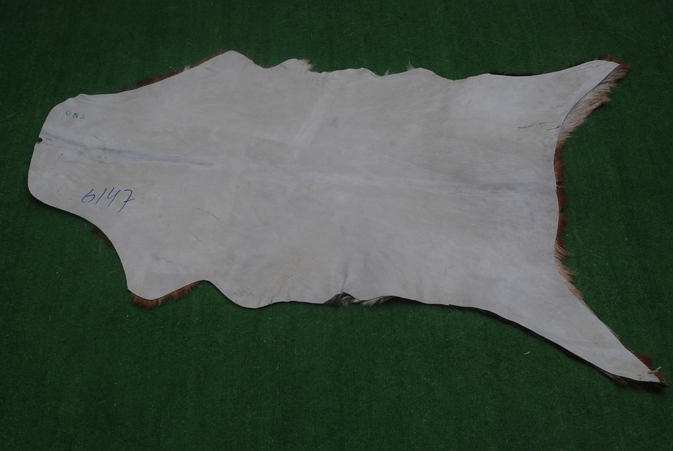 GOAT Western taxidermy Hide Rug Natural Pattern Fur Goat Hide Rode SA ...