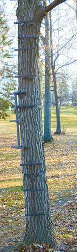 Quick Tree Climbing Sticks 8’Aider Ladder Steps for Treestands Deer ...