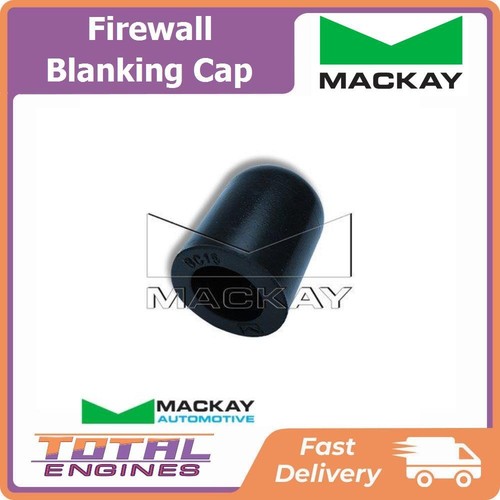 Firewall Blanking Cap fits Chevrolet Silverado 1500 5.3L V8 LM7 | eBay