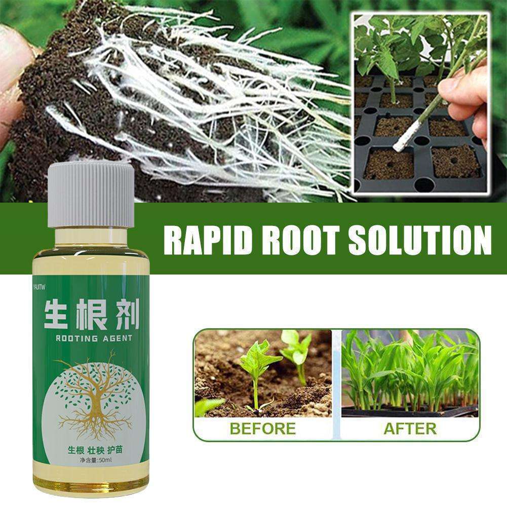 Quick Rooting Liquid Plant Strong Rooting Powder Plant Liqui@ Nutrient ...