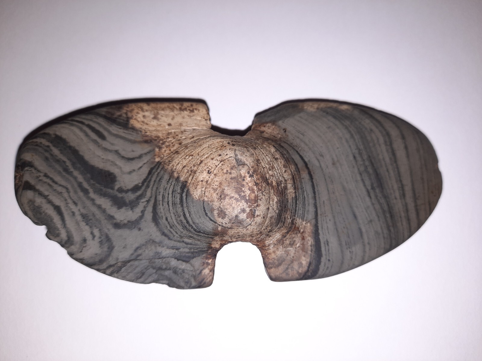 Authentic Ohio Banded Slate Double Notch Wing Bannerstone | eBay