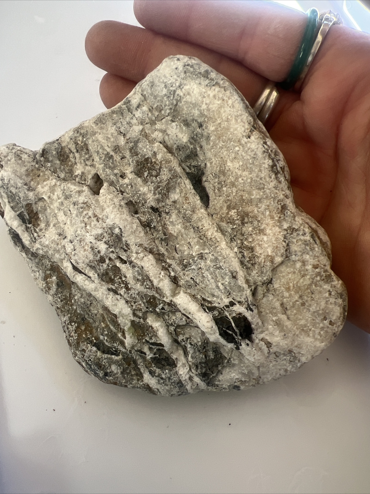 407g Natural Nevada White Buffalo Mine Turquoise “Dolomite” GemStone ...