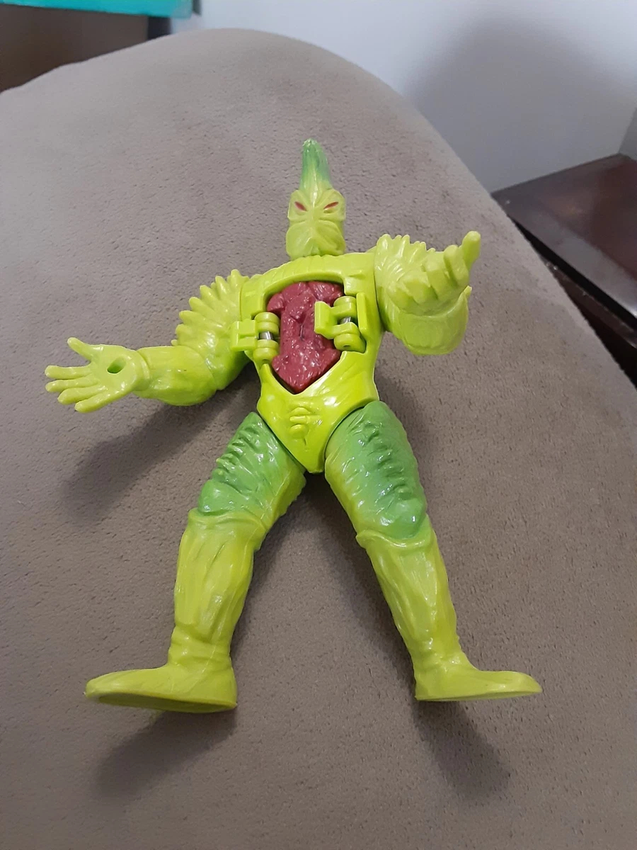 A Fly Trap In Action