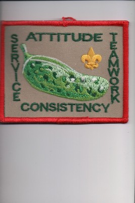Service Attitude Teamwork Consistency patch | eBay