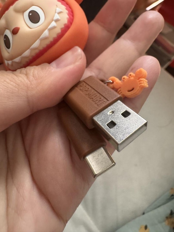 Pop Mart Labubu Type-C Charging Cable | eBay