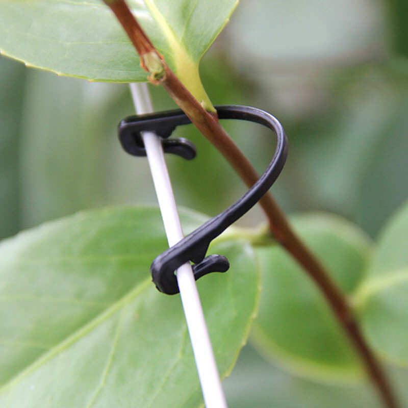50Pcs U Type Tomato Clip Trellis Garden Vegetable Binder Twine Plant ...