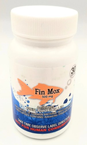 FOR FISH Aquariums & FISH Tanks Fix AMoxil 500mg/30 CT Made in USA, US ...