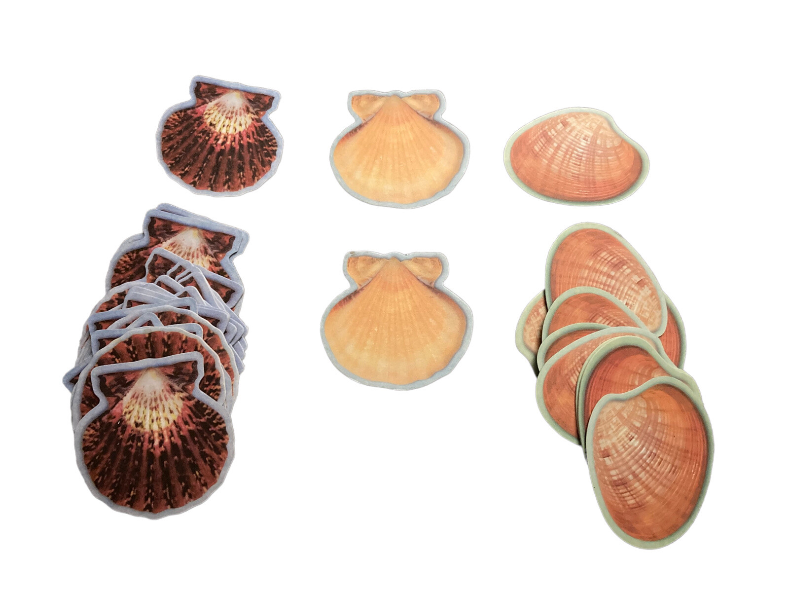 Sea shell Drink coasters cardboard scallop clam set of 30 | eBay
