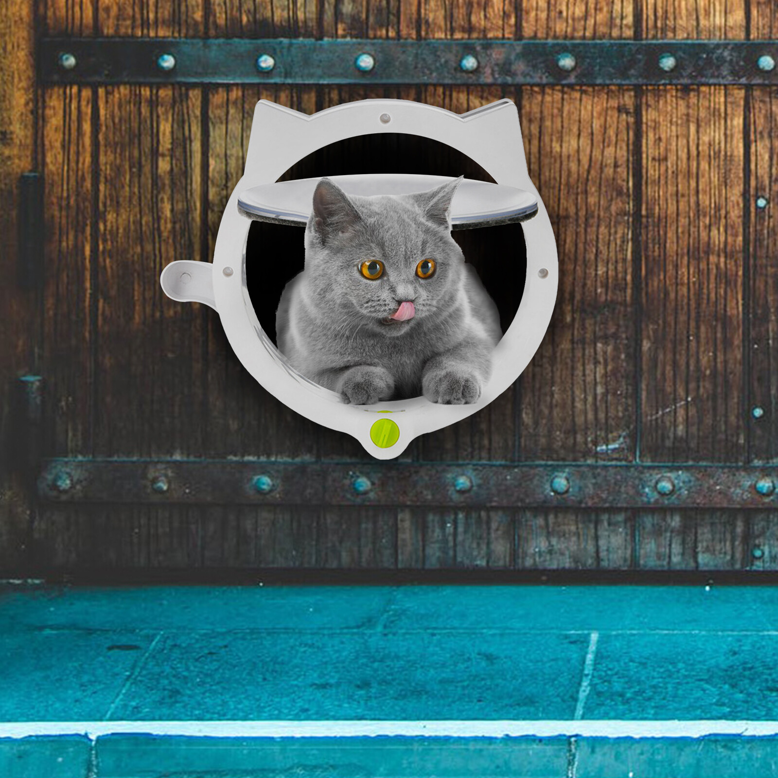 Door Locking Door for Interior & Exterior Doors Interior Flap C5R6 | eBay