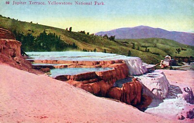 Jupiter Terrace Yellowstone National Park Wyoming Postcard | eBay