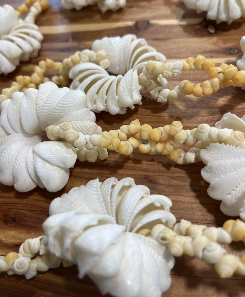 Vintage Hawaiian Wedding lei necklace 34 In Mongo And Flower Shells ...