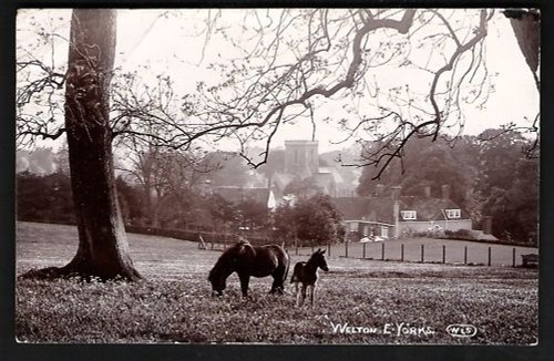Welton by W. J. Wellsted & Son, Photographers, Hull. | eBay