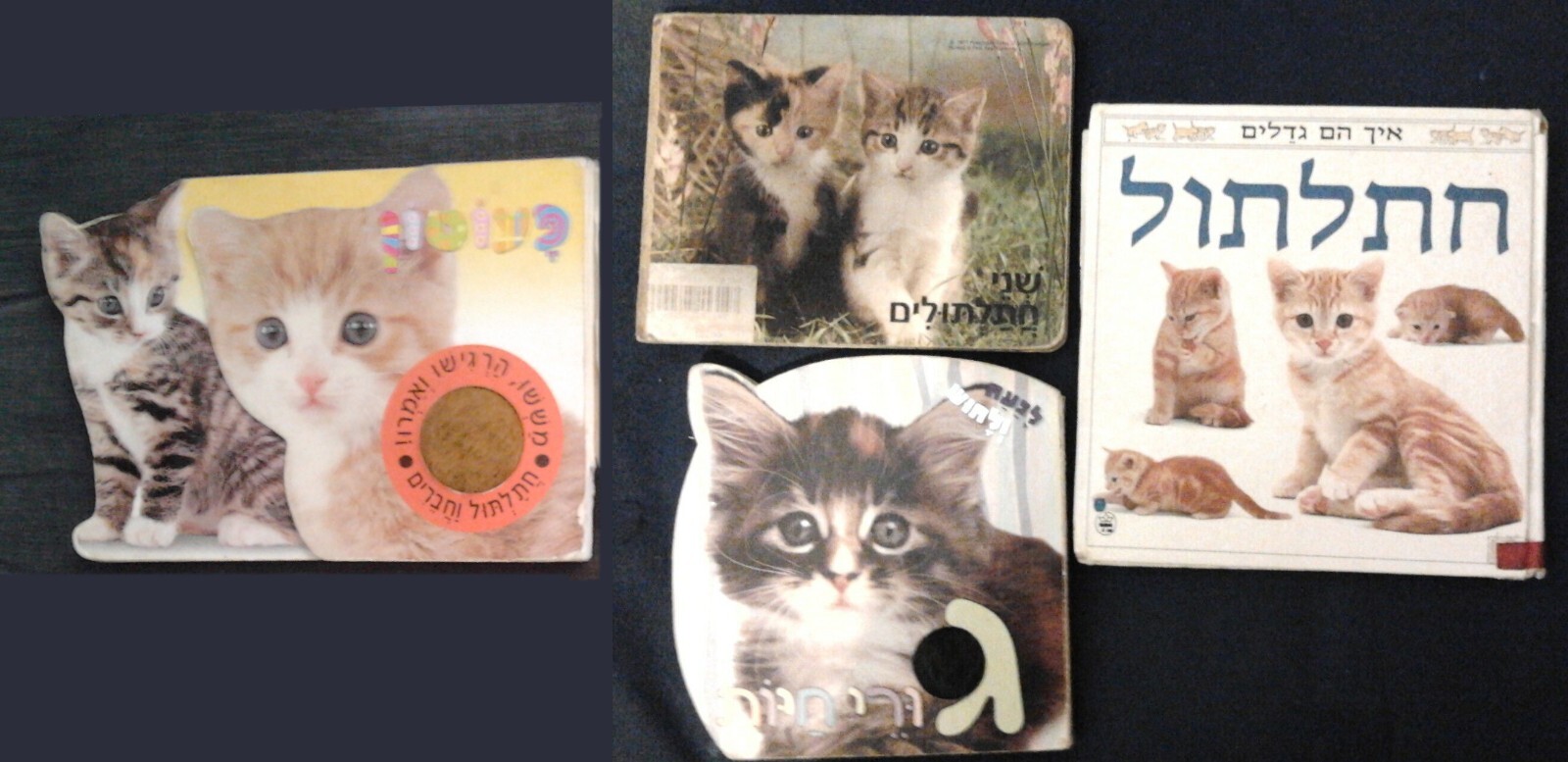 Kittens IN HEBREW Animals & Pets ISRAEL ISRAELI CHILDREN CUTE BOOK x4 ...