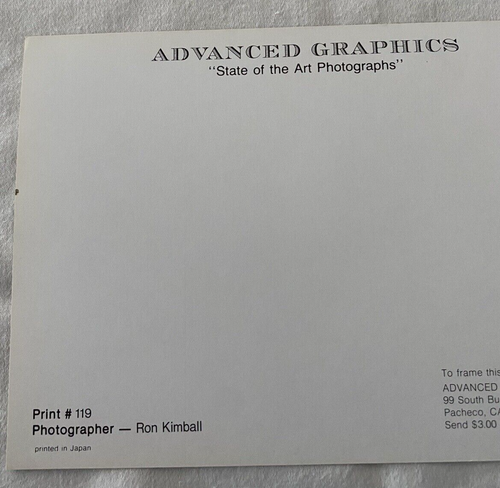 Rare 1980's Advanced Graphics Toucan Postcard Ron Kimball Print #119 5 ...