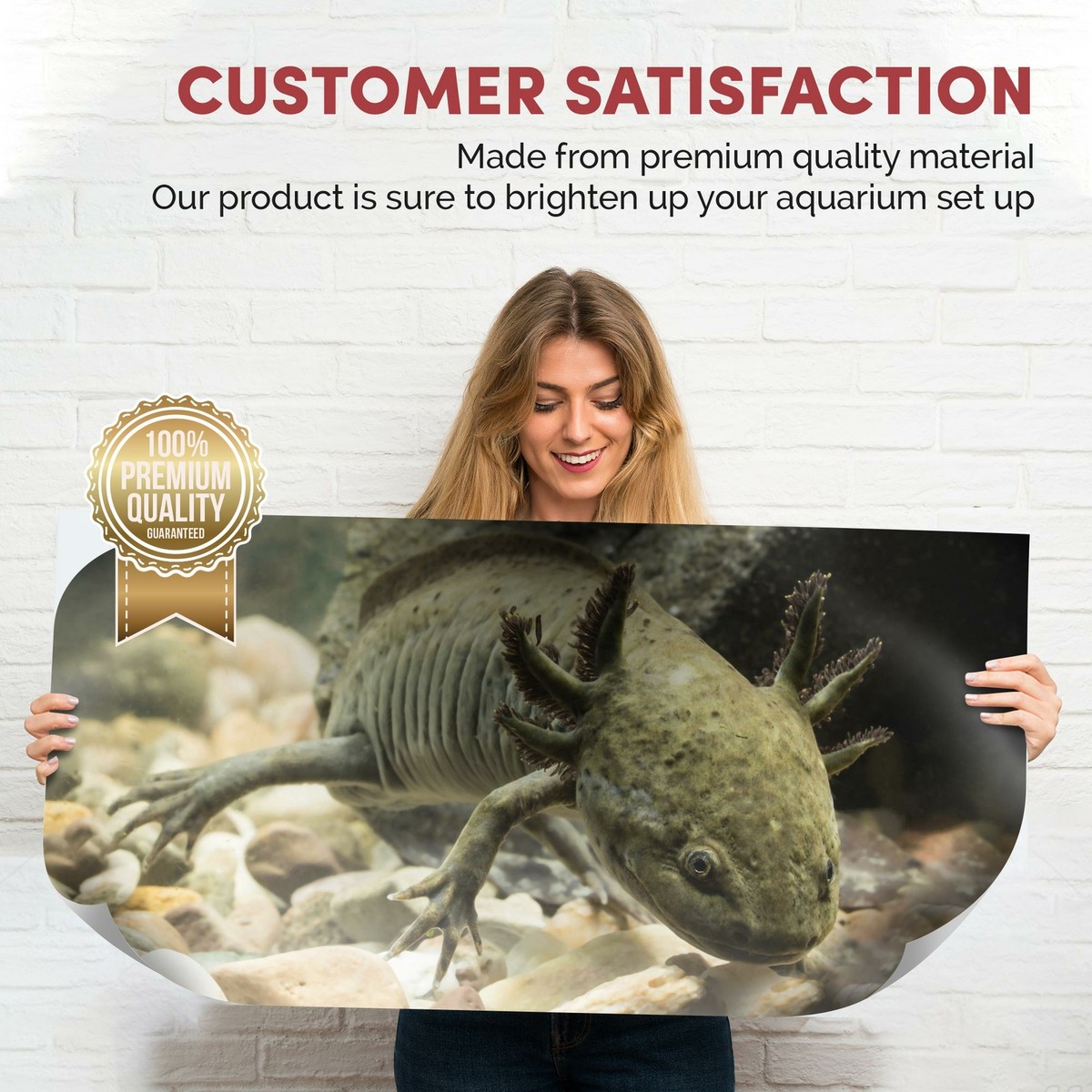 Axolotl Aquarium Setup