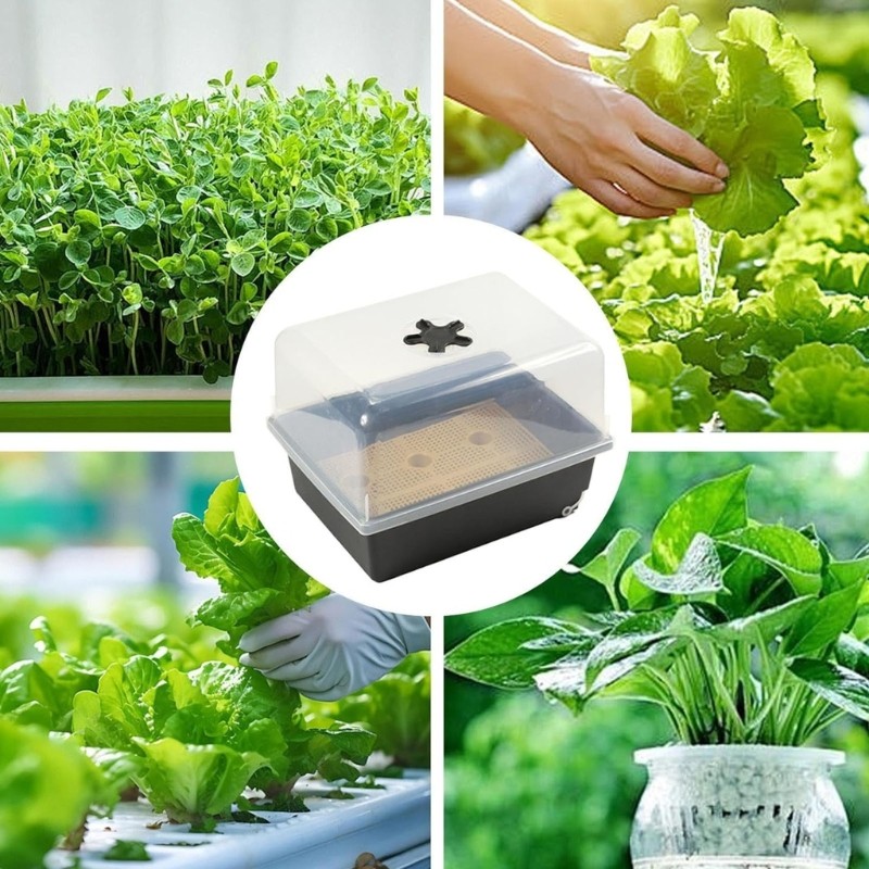 Standing Germination Tray for Vegetables Herbs Flowers and Home ...