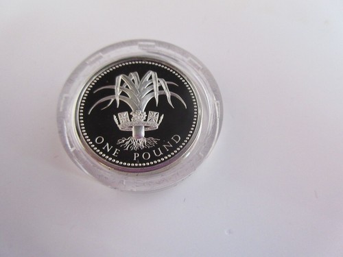 1990 £1 ONE POUND SILVER PROOF COIN WELSH LEEK ROYAL MINT BOX & COA | eBay UK
