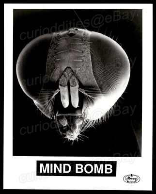 MIND BOMB Mercury Records B&W Promo Publicity Press Photo Chicago Daisy ...