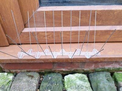 WIDE STAINLESS STEEL GULL CONTROL ANTI-ROOSTING SPIKES PER 33CM PIECE ...