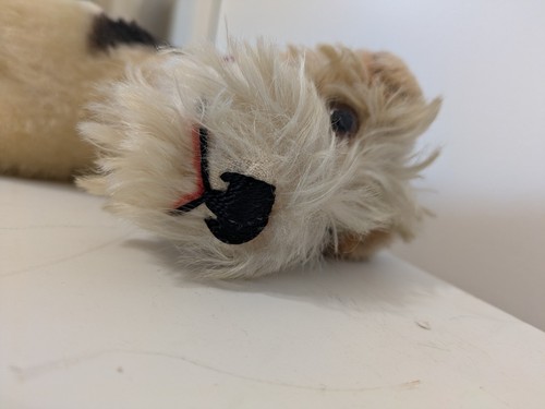 Vintage Steiff Foxy Wire Haired Fox Terrier Dog Red Collar Nice ...