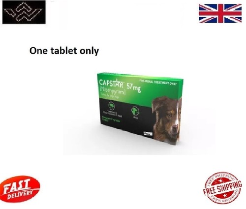 Capstar Dog and Cat Flea Tablets Treatment Kills Fleas Fast 11.5kg to57kg one | eBay UK