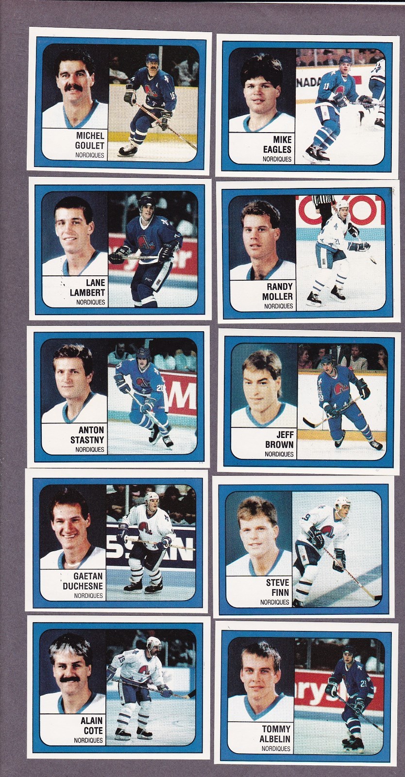 1988-89 Panini NHL Hockey Sticker Alain Cote #352 Quebec Nordiques | eBay