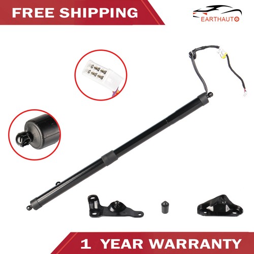Rear Left Tailgate Power Hatch Lift Support For 2014-19 Toyota ...