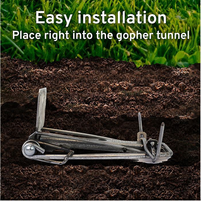Victor Easy Set Gopher Trap - Model 0611 - 2 Traps Per Package - ADC ...
