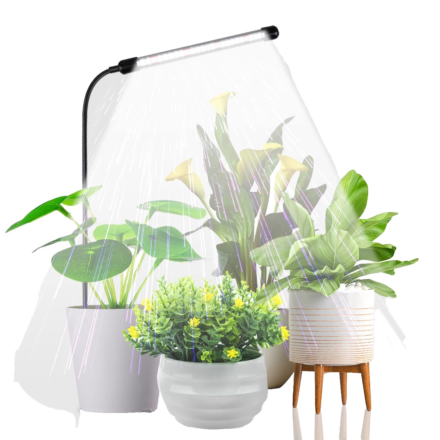 Bonsai Grow Light | eBay