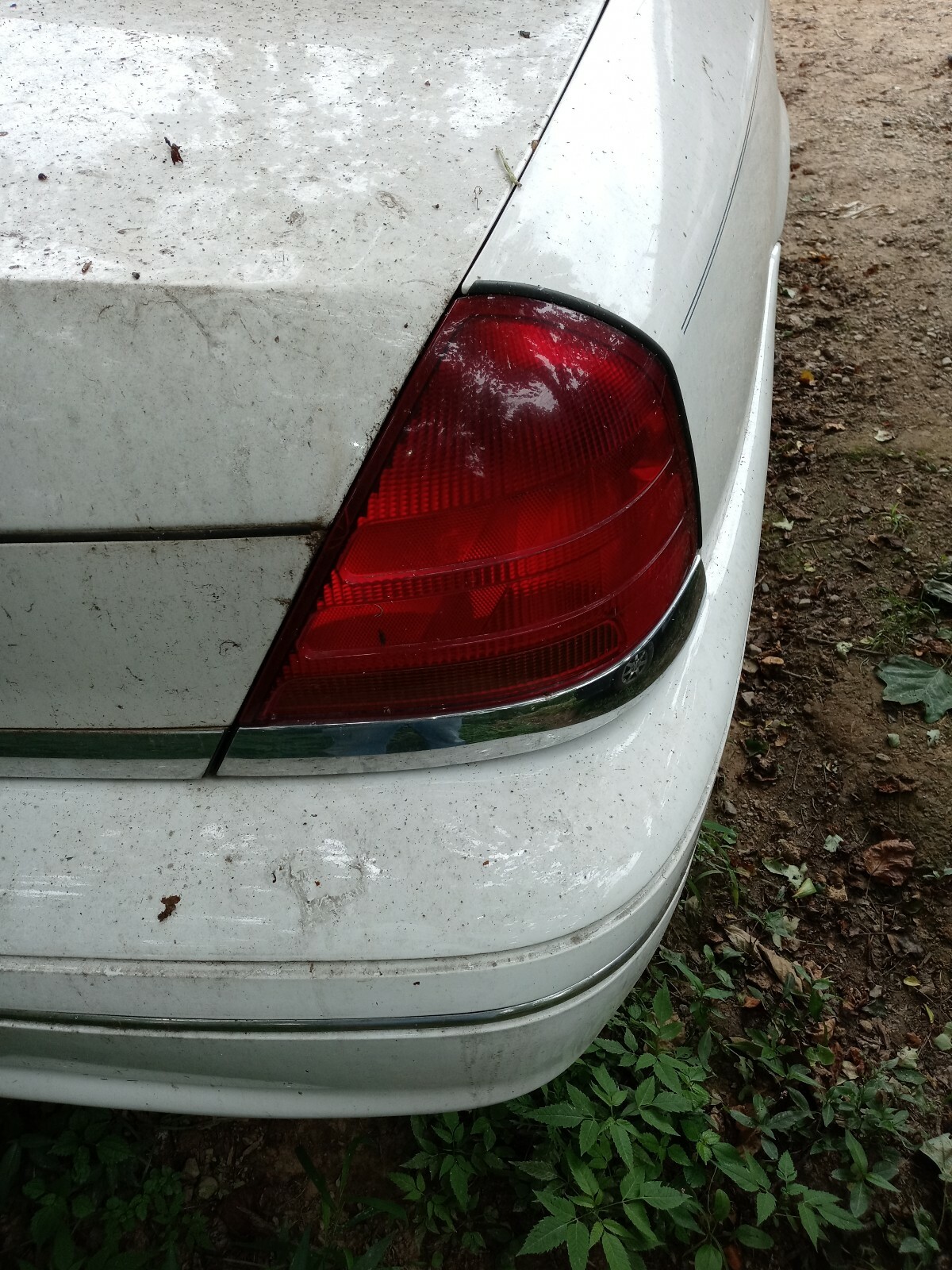 Passenger Tail Light Quarter Panel 4 Bulbs Fits 98-03 CROWN VICTORIA ...