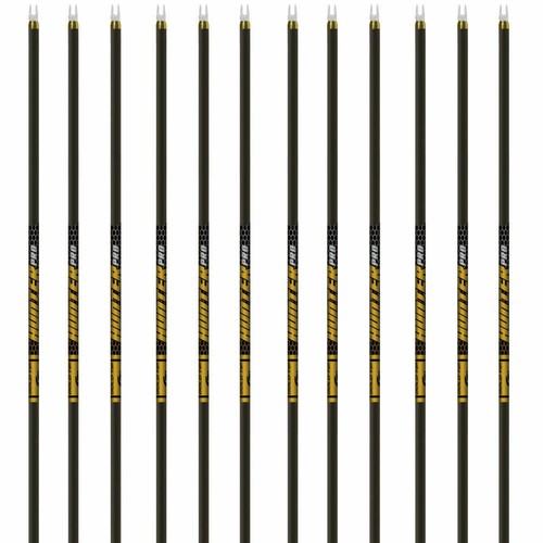 Gold Tip Arrows Hunter PRO 300 340 400 500 1 Dozen Black Shafts new | eBay